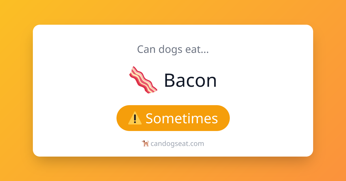 Can Dogs Eat Bacon? ⚠️ Sometimes - Safe Food Guide | Can Dogs Eat