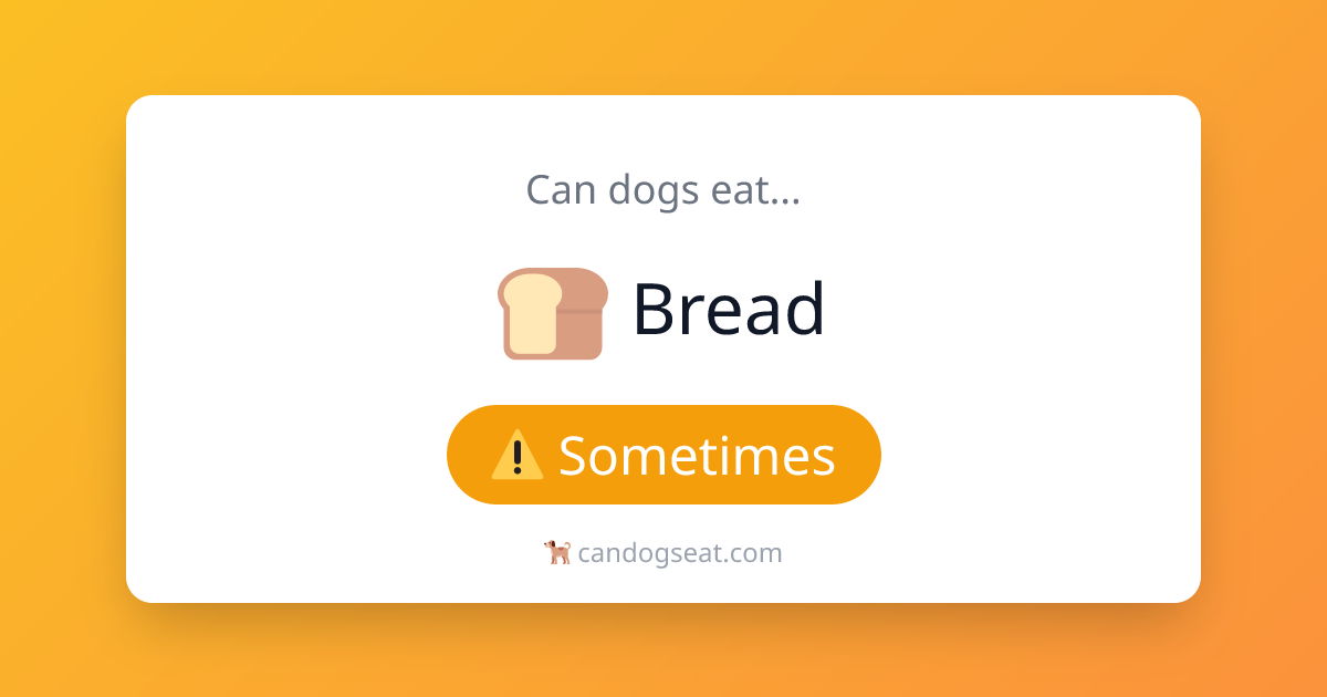 Can Dogs Eat Bread? ⚠️ Sometimes - Safe Food Guide | Can Dogs Eat